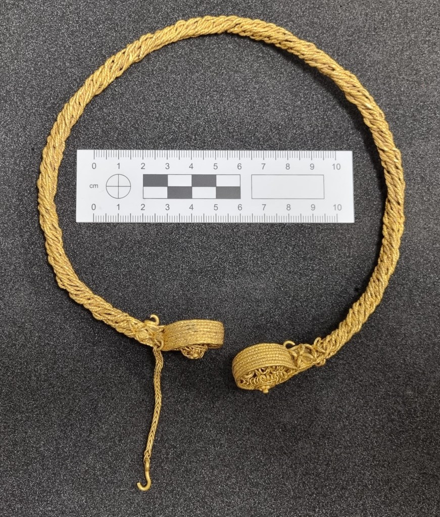 The Staffordshire Torc Odyssey: 5 Middleton Hall – The Big Book of Torcs